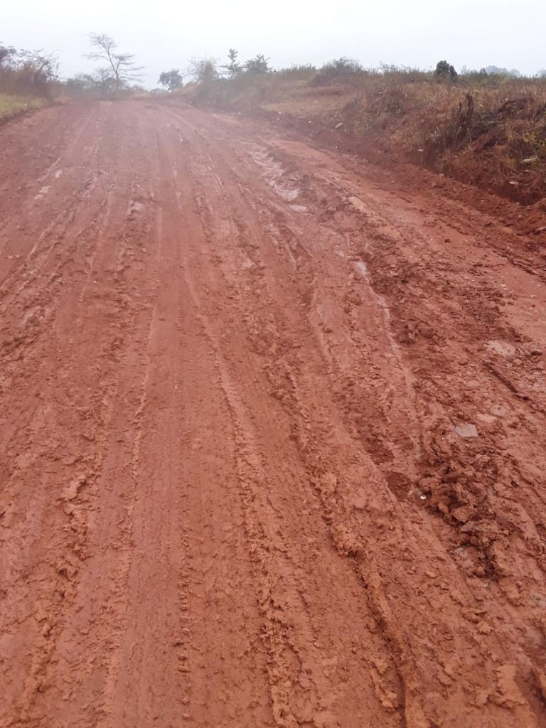 Poor state of D3761 road affecting services and economic development in ...